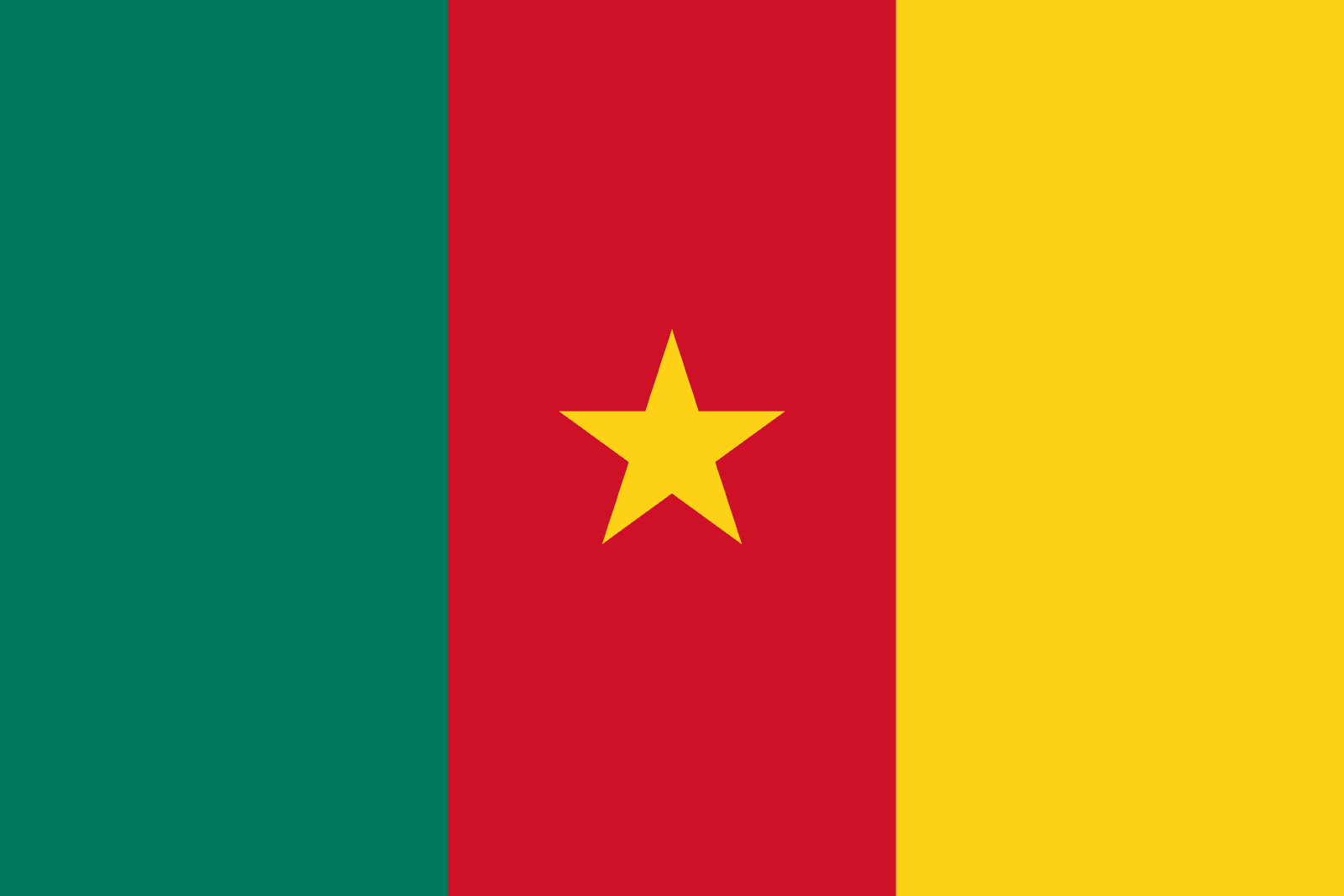 Bandeira dos Camarões | Bandeirasnacionais.com